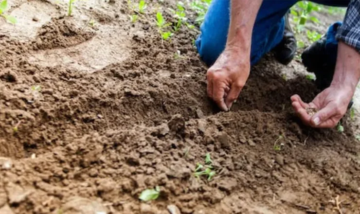 IGS Academy - Indocert Earth